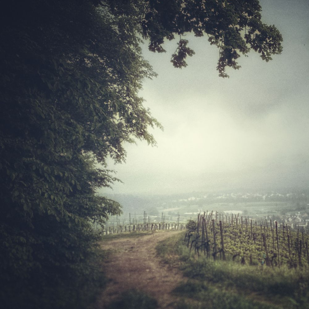 Foto & Bild | landschaft, fotokunst, bearbeitungs - techniken Bilder auf fotocommunity