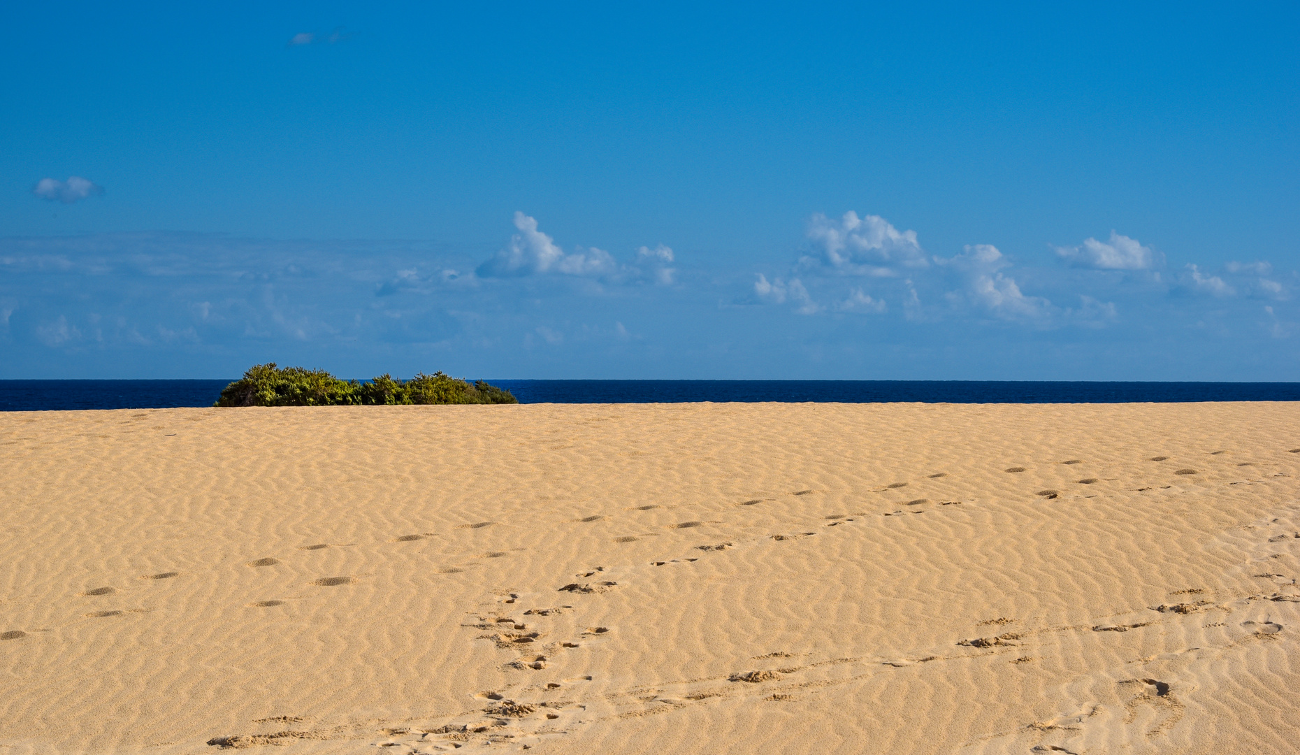 Foto & Bild | europe, canary islands die kanaren, spain Bilder auf ...