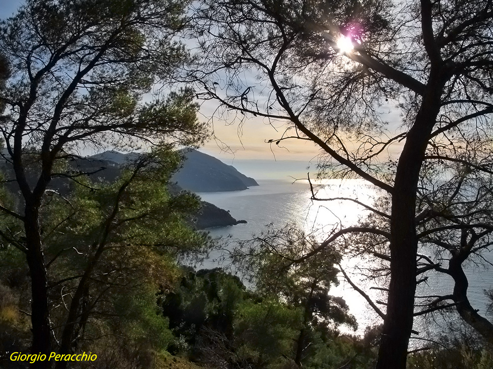 5 Terre Foto % Immagini| paesaggi, mare, natura Foto su fotocommunity