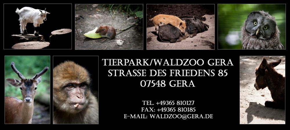 50 Jahre Tierpark Gera Foto & Bild | deutschland, europe, thüringen ...