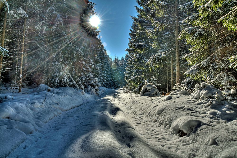 Foto & Bild | jahreszeiten, winter, natur Bilder auf fotocommunity