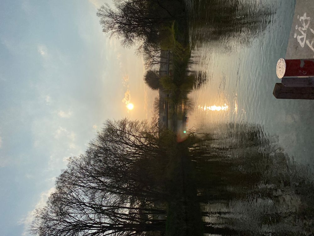 Der Fluss - Bild & Foto von Jamie Richter aus CoFo 02/22 Schatten ...