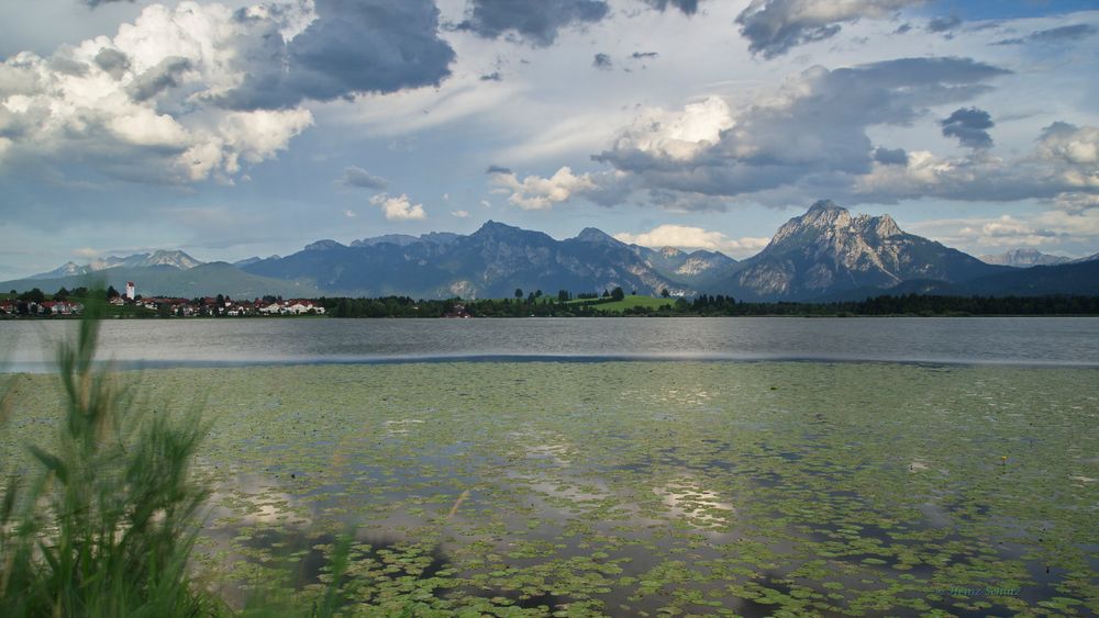 6740_Hopfensee Foto & Bild | sommer, wasser, natur Bilder auf fotocommunity