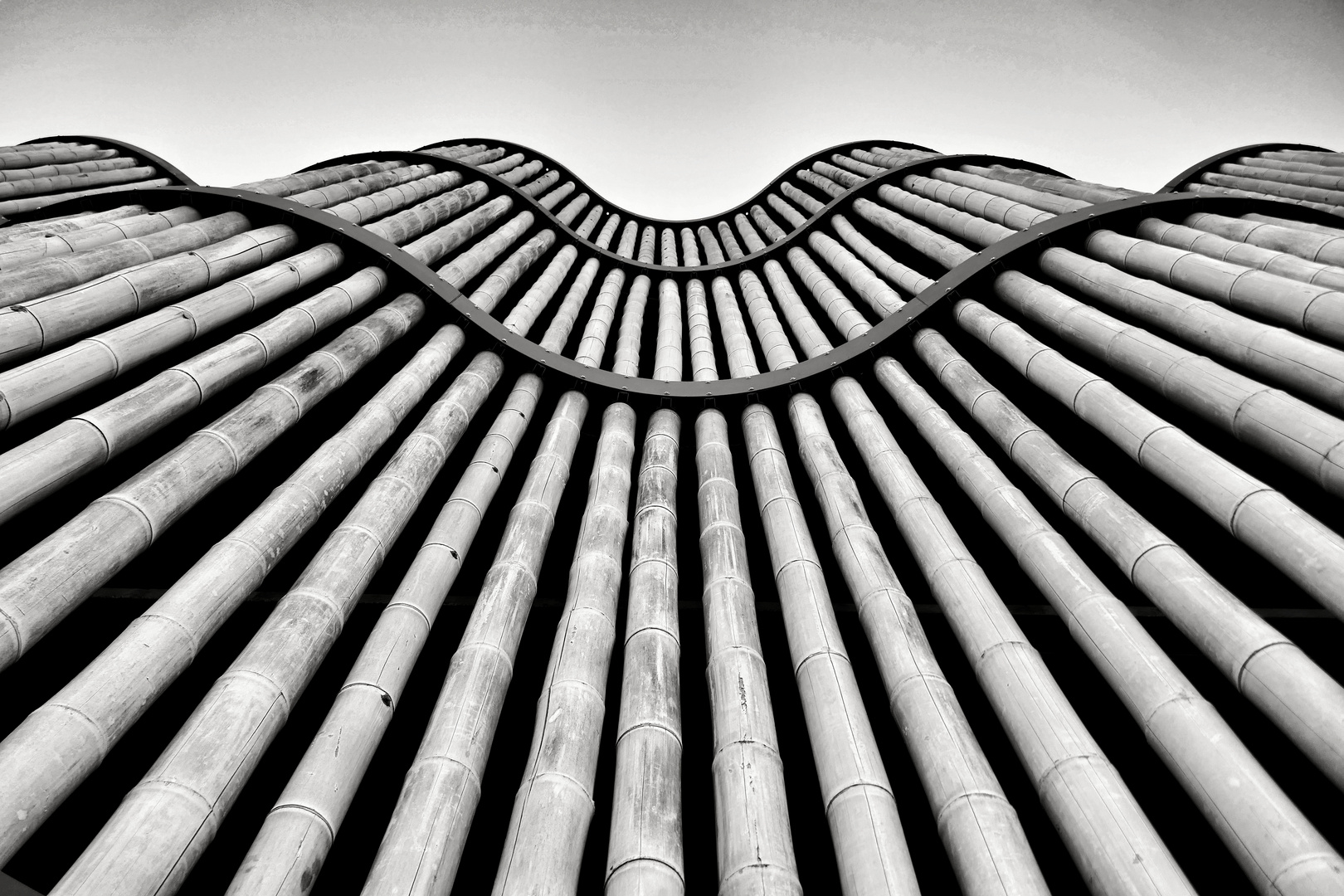 Foto & Bild | art, spezial, monochrome Bilder auf fotocommunity