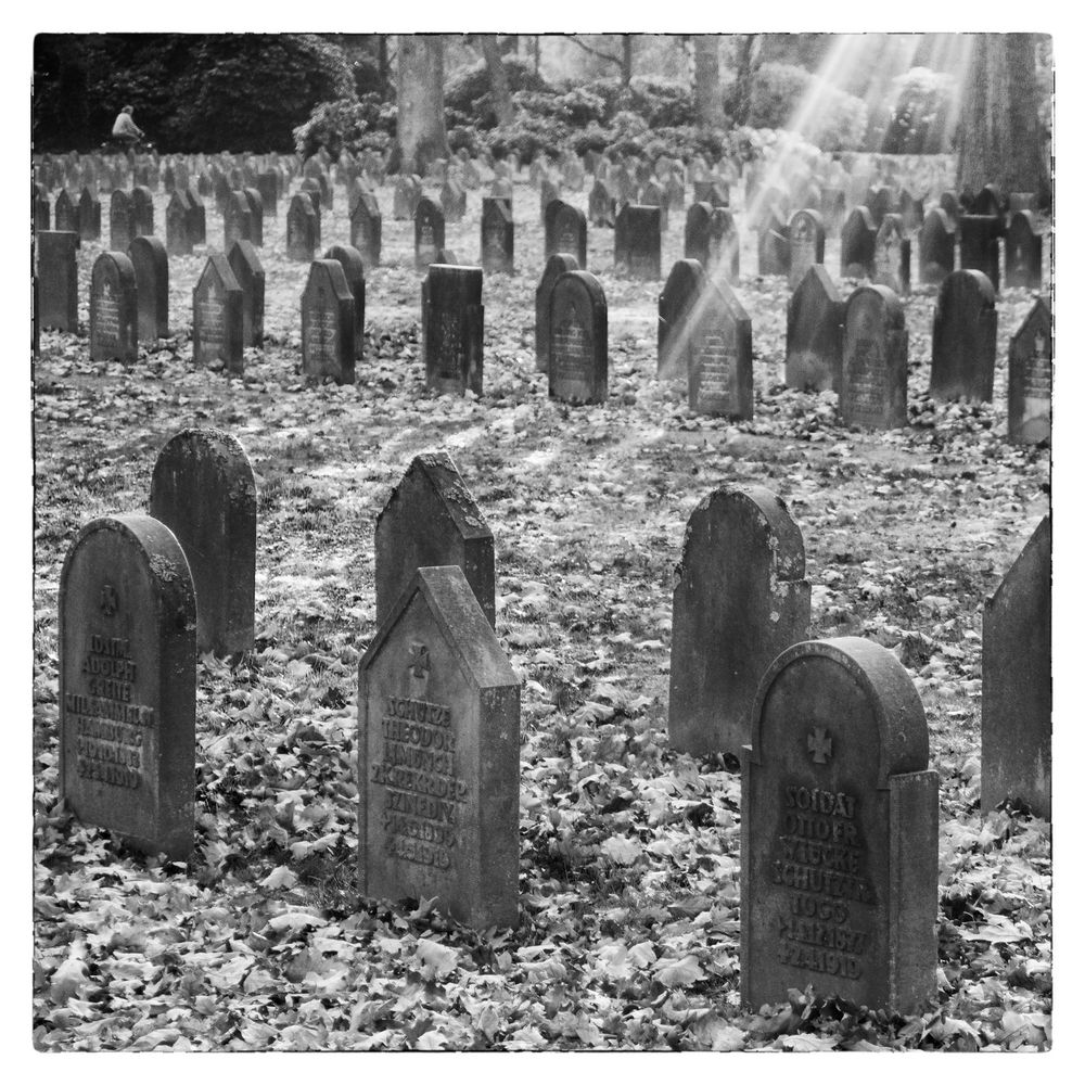 Foto & Bild | fotos, dokumentation, herbst Bilder auf fotocommunity