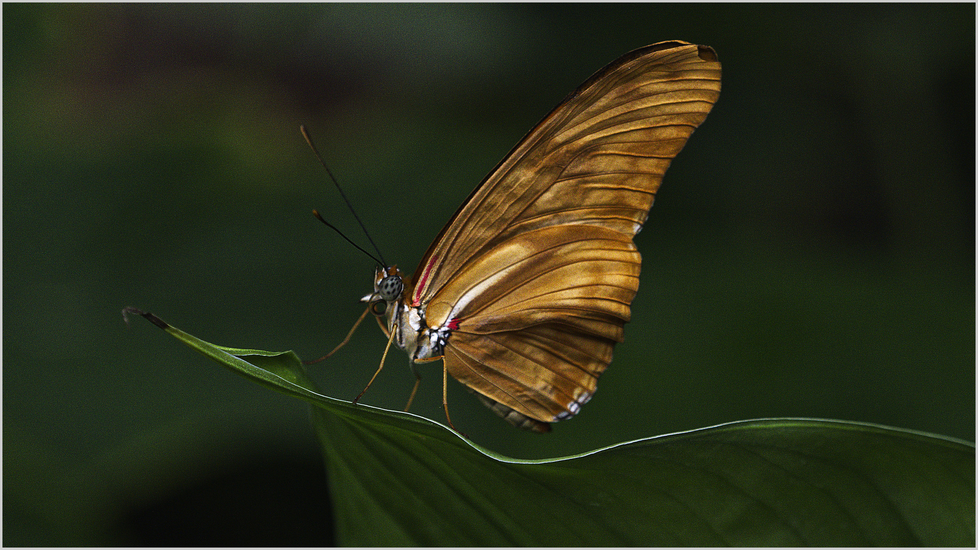 8585 --- auf der BuGa --- Foto & Bild | spezial, available light, natur ...