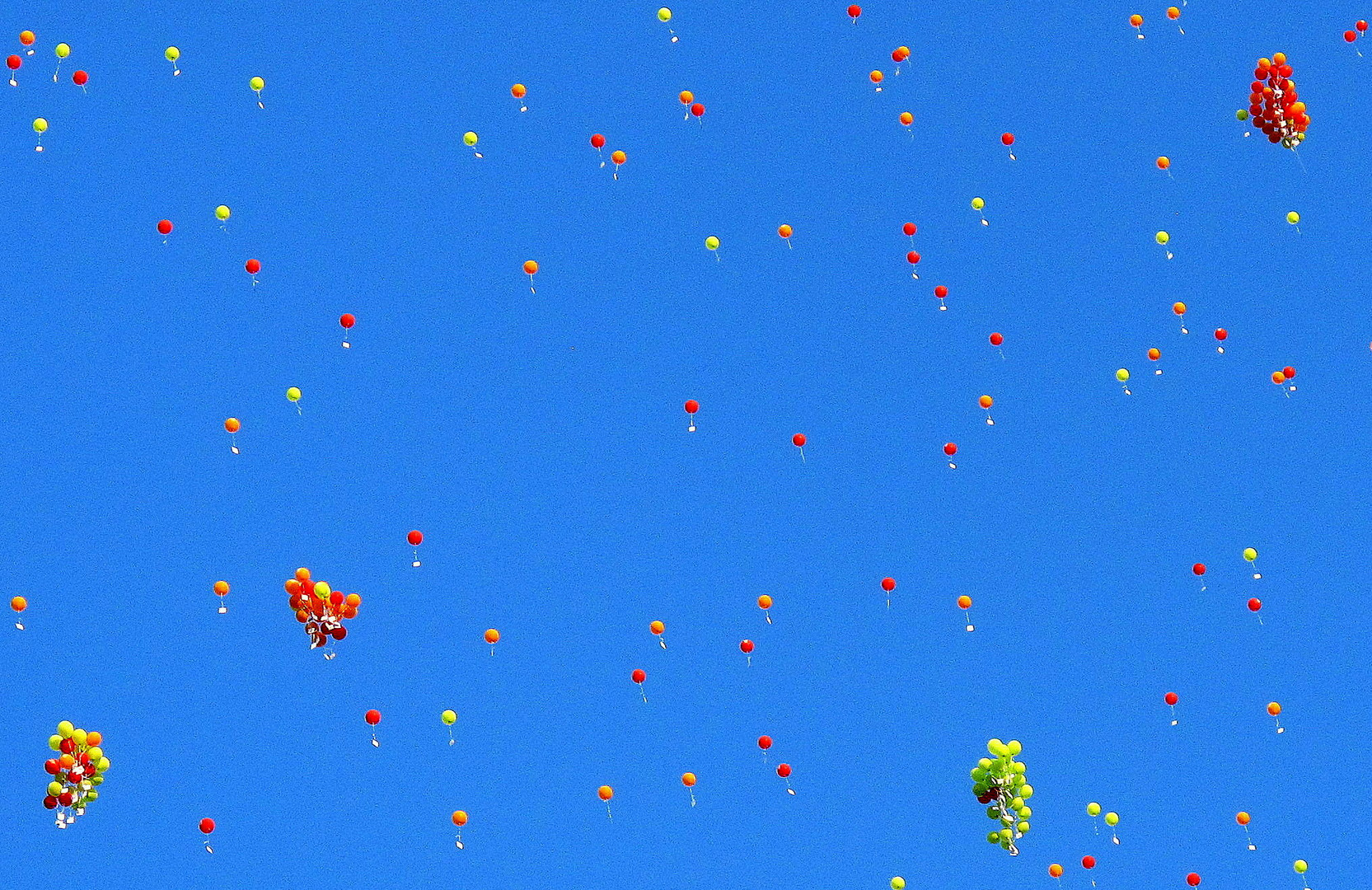 99 Luftballons... Foto & Bild | spezial, himmel, bunt Bilder auf ...