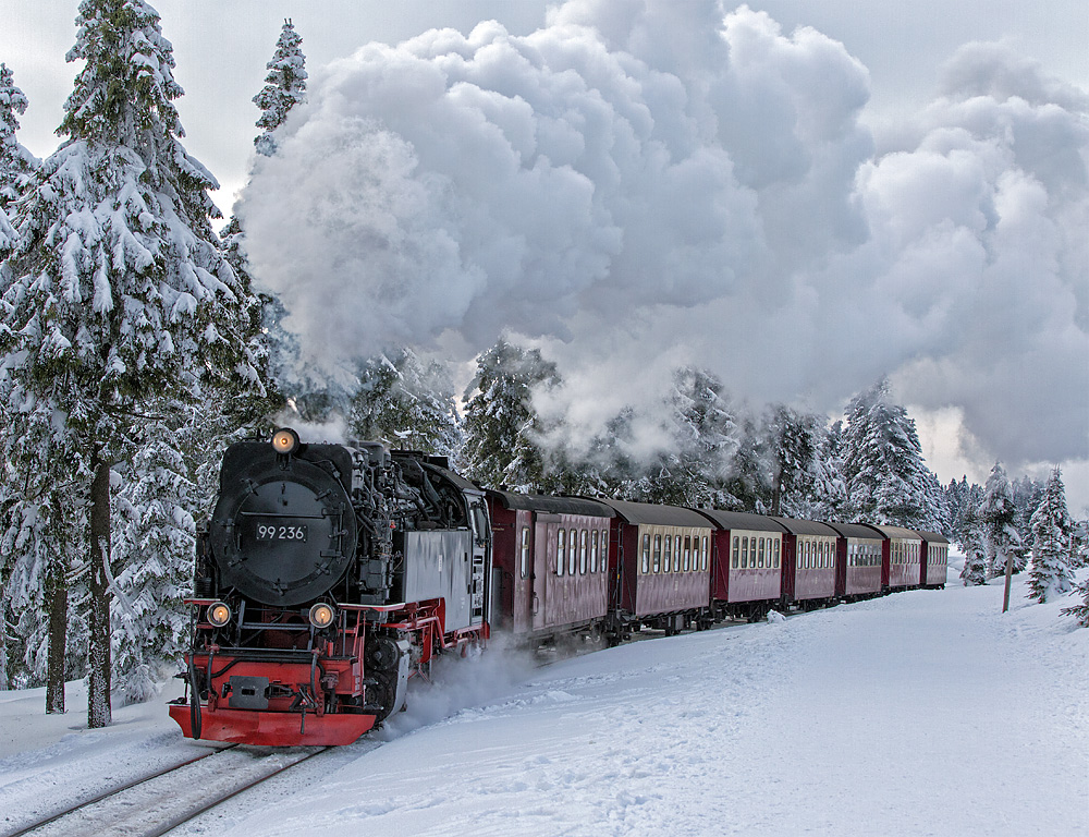 99236 Foto & Bild | deutschland, europe, sachsen- anhalt Bilder auf ...