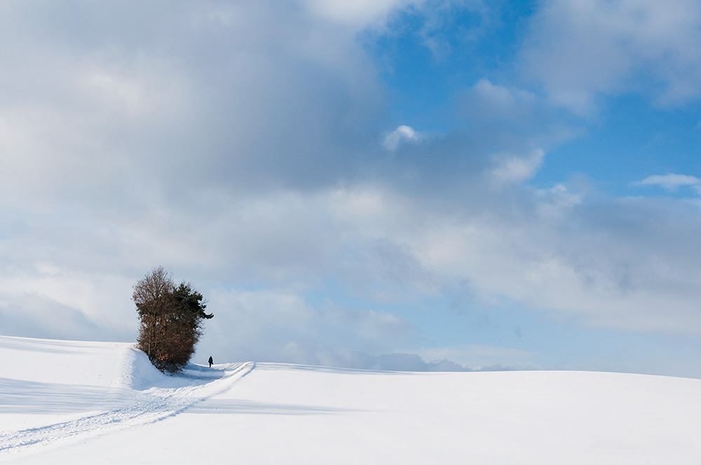 Bei Scheuerfeld - Bild & Foto von J. A. Hagen aus Menschen im Schnee ...