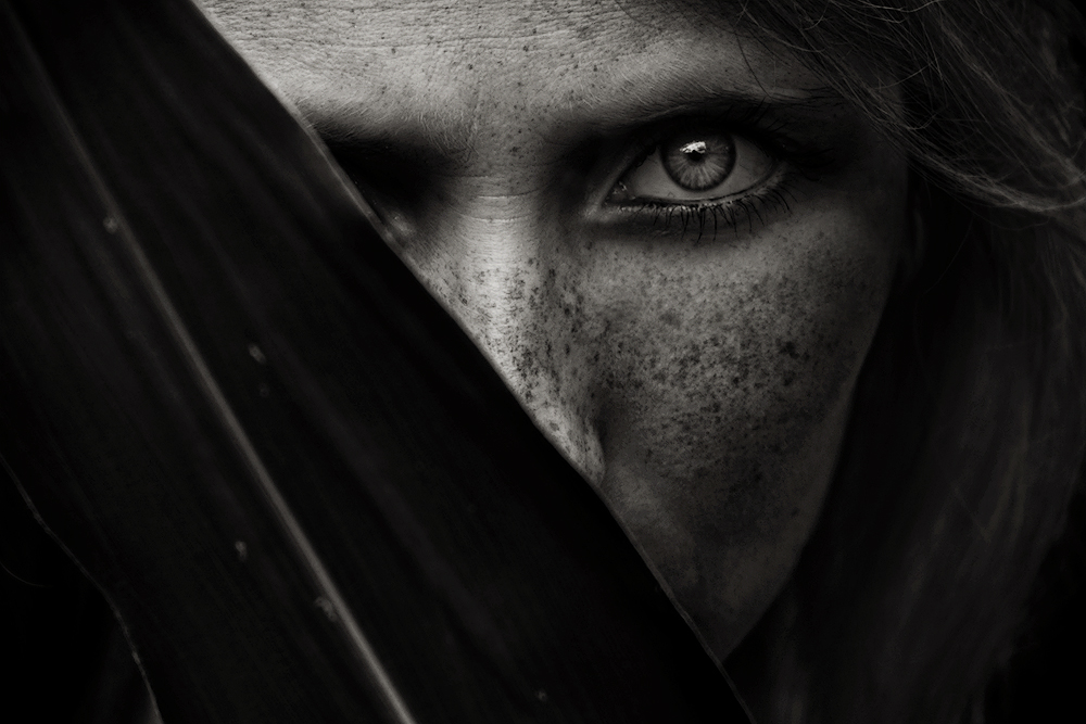 A beautiful nightmare - Bild & Foto von MB Photographs aus ColorFoto ...