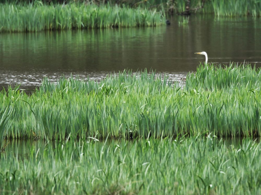 à cache cache ! photo et image | animations photographiques, special ...