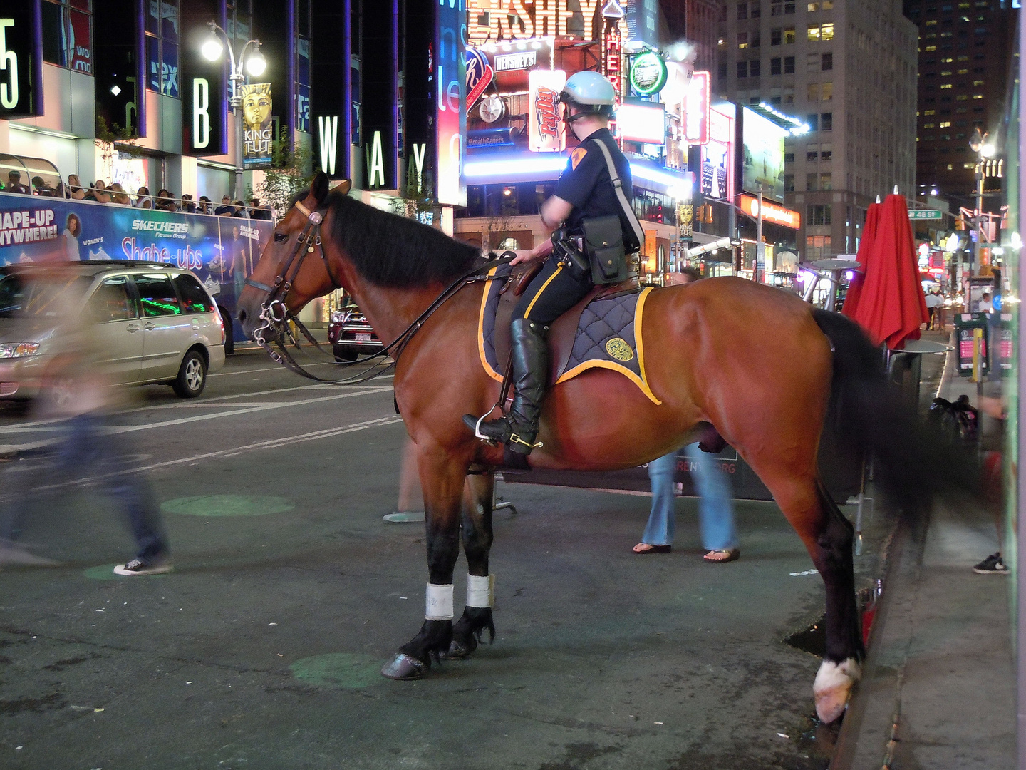 A cheval! photo et image | north america, united states, new york state ...