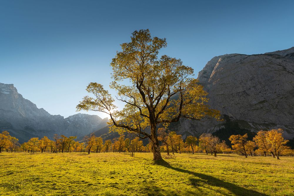 A H O R N B O D E N Foto Bild Jahreszeiten Herbst Nikon a-h-o-r-n-b-o-d-e-n-foto-bild-jahreszeiten-herbst-nikon
