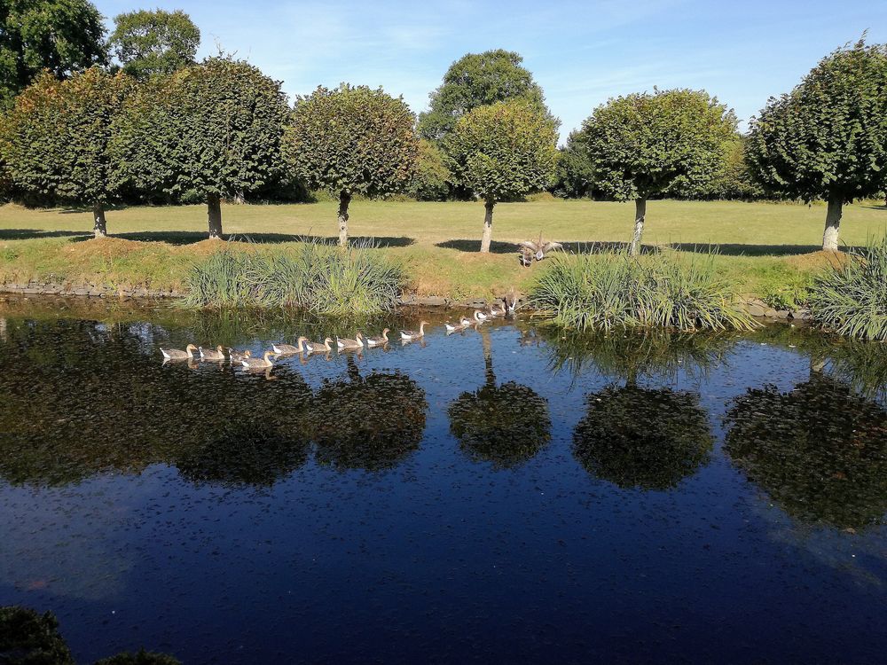 A la queue leu-leu .... photo et image | europe, france, bretagne ...