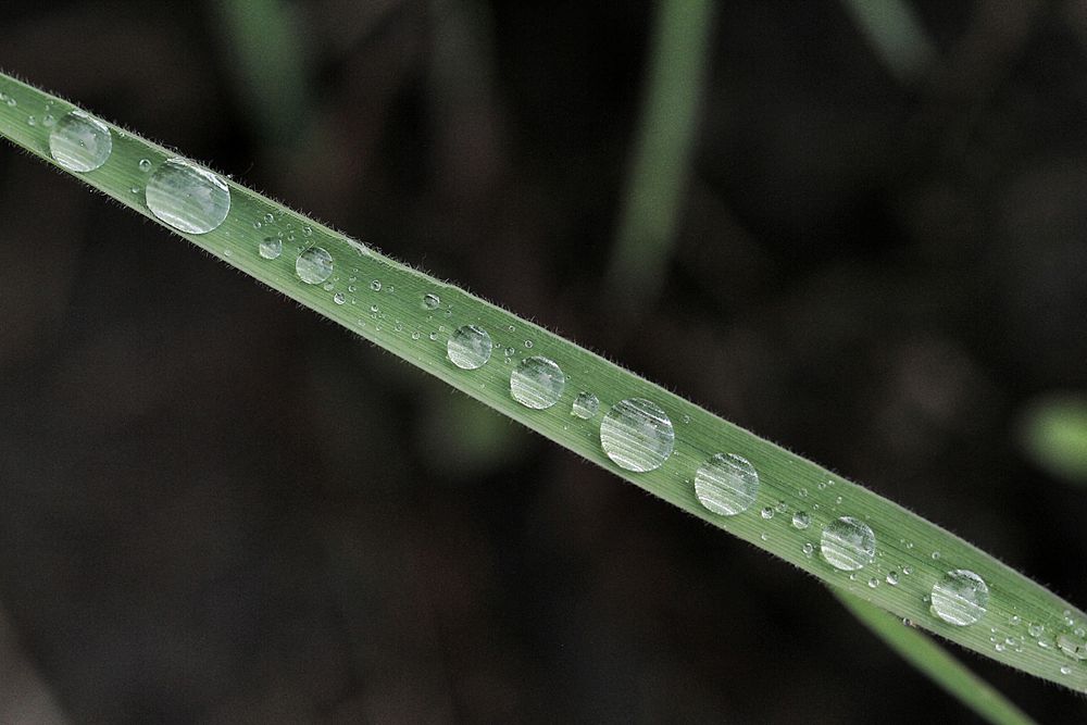 A la queuleuleu photo et image | animations photographiques, un jour ...