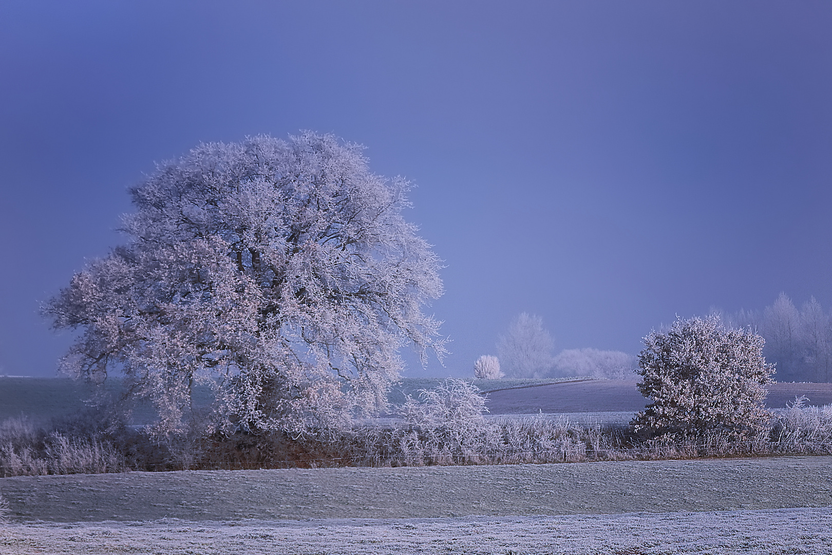 A l'heure où blanchit la campagne photo et image | paysages, paysages ...