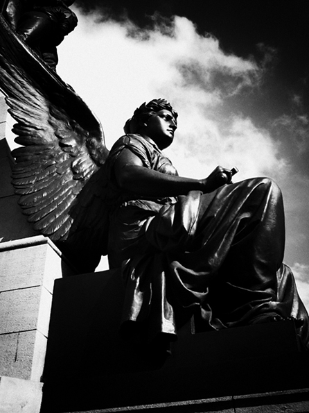 Fallen Angel Photography