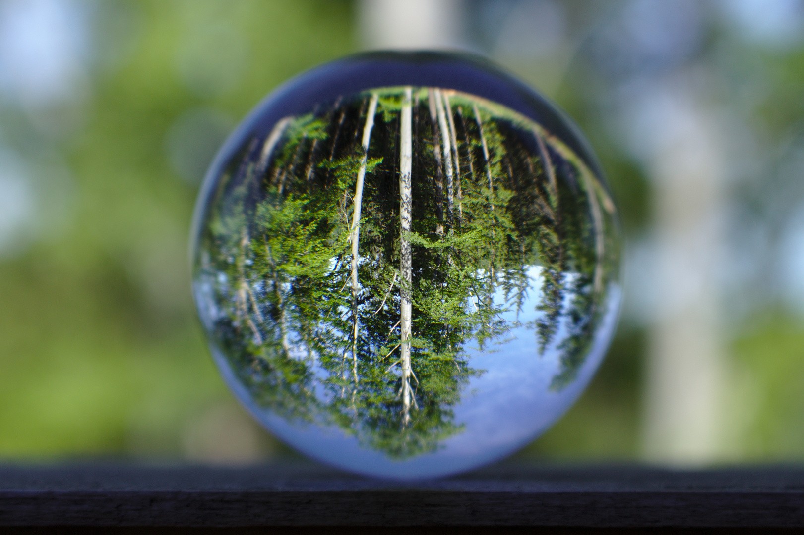 A Sphere in the Woods Foto & Bild | kunstfotografie & kultur, glaskunst ...