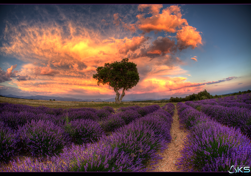 A summer in provence photo et image | paysages, ciel, nuages, landscape ...