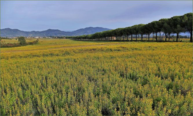 Paysages de campagne Images & Photos