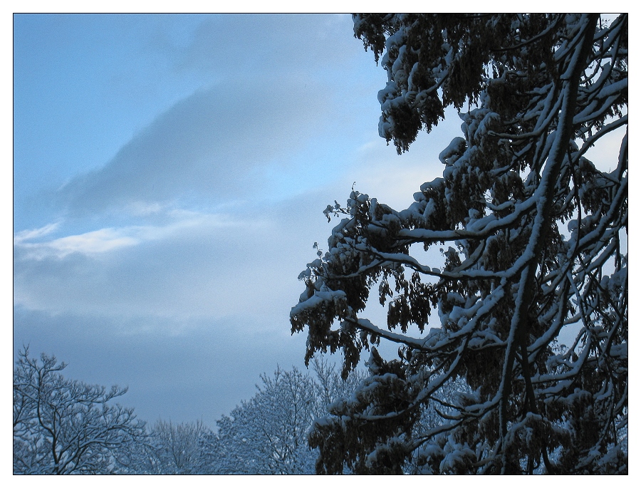 A Winter Wonderland Foto & Bild | jahreszeiten, winter, natur Bilder auf fotocommunity