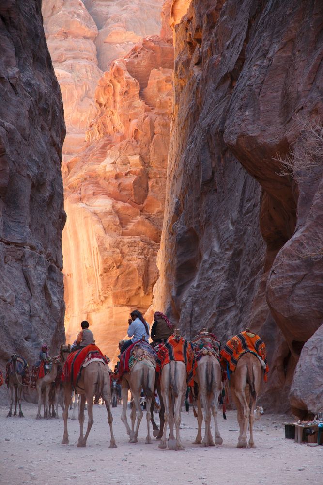 Karawane - Bild & Foto von yanitka aus Lichtspiele - Fotografie ...