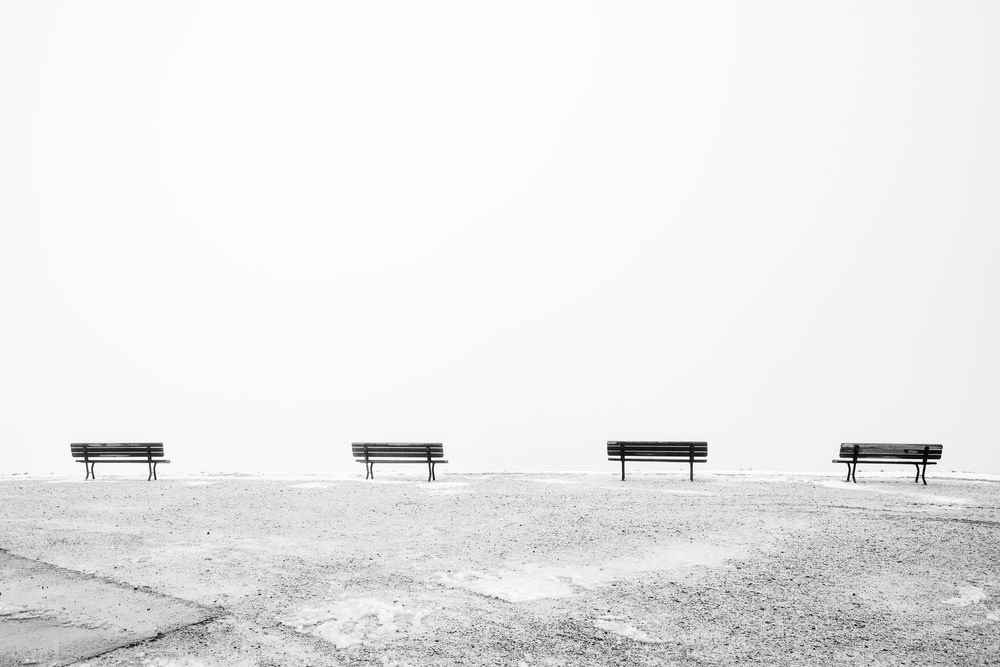 IMG_0601_kopie - Bild & Foto von H. Endres aus Foto des Jahres 22 ...