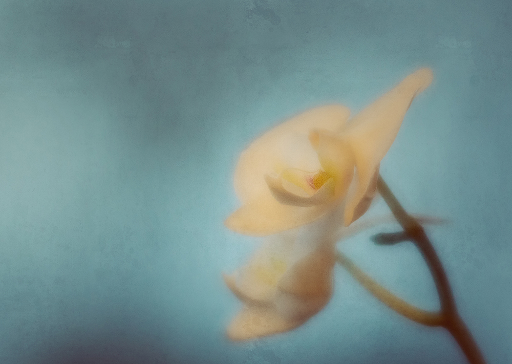 . Foto & Bild | bearbeitungs - techniken, filtertechniken, digiart Bilder auf fotocommunity