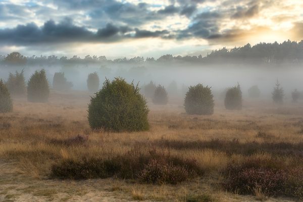 ruth.wulf - Fotos & Bilder - Fotografin aus Windbergen, Deutschland ...
