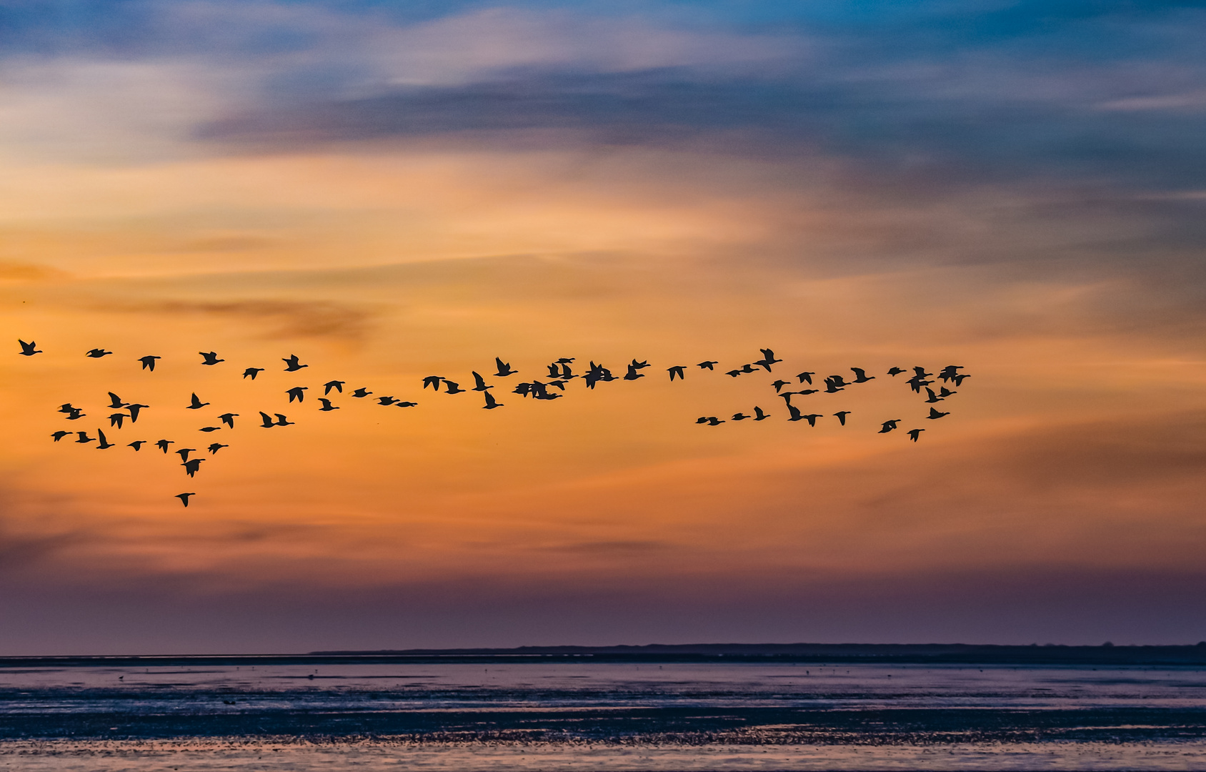 Abend am Strand Foto & Bild | sonnenuntergang, wolken, abendstimmung ...