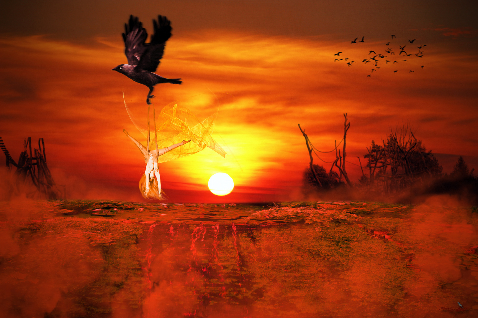 Abendausflug Foto & Bild | sonnenuntergang, surreal, sonne Bilder auf fotocommunity