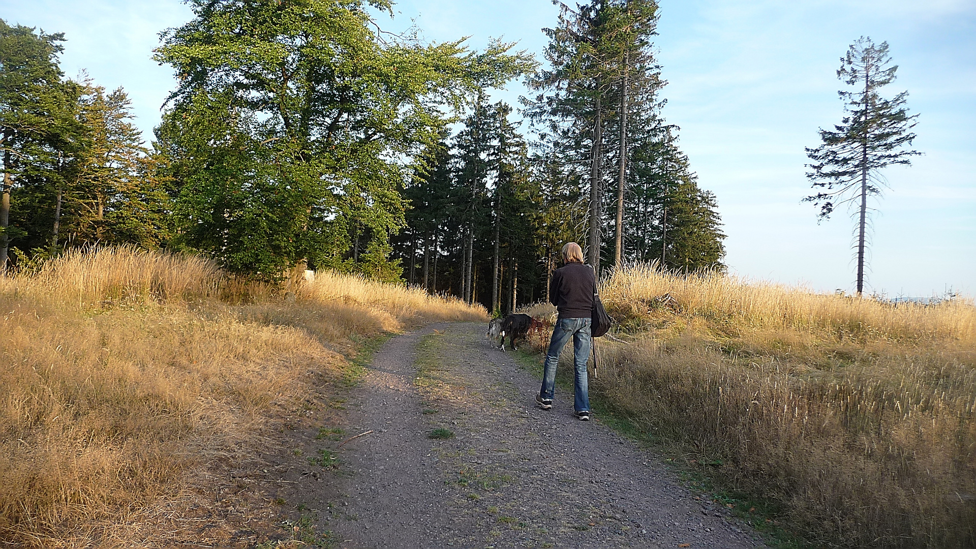 Abendlicher Ausflug Foto & Bild | tiere, tier und mensch, wald Bilder ...