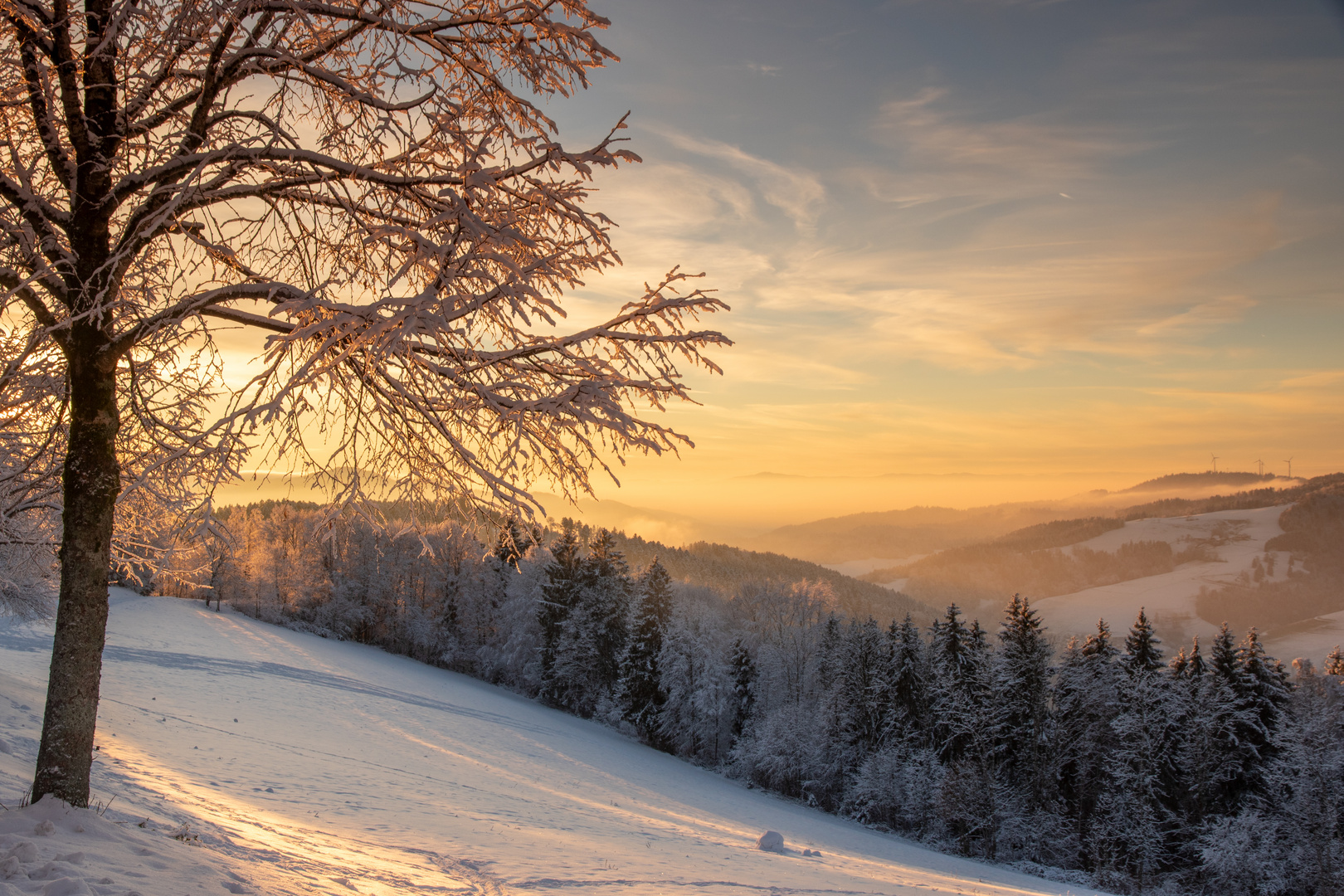 Abendliches Winterlicht Foto & Bild | jahreszeiten, winter, natur Bilder auf fotocommunity
