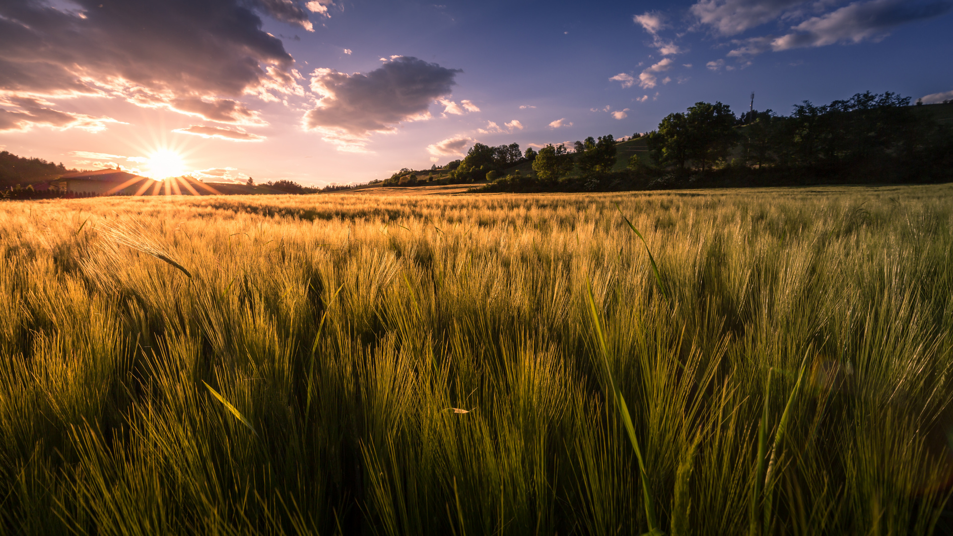 Abendlicht Foto & Bild | landschaft, Äcker, felder & wiesen, landschaft natur Bilder auf ...