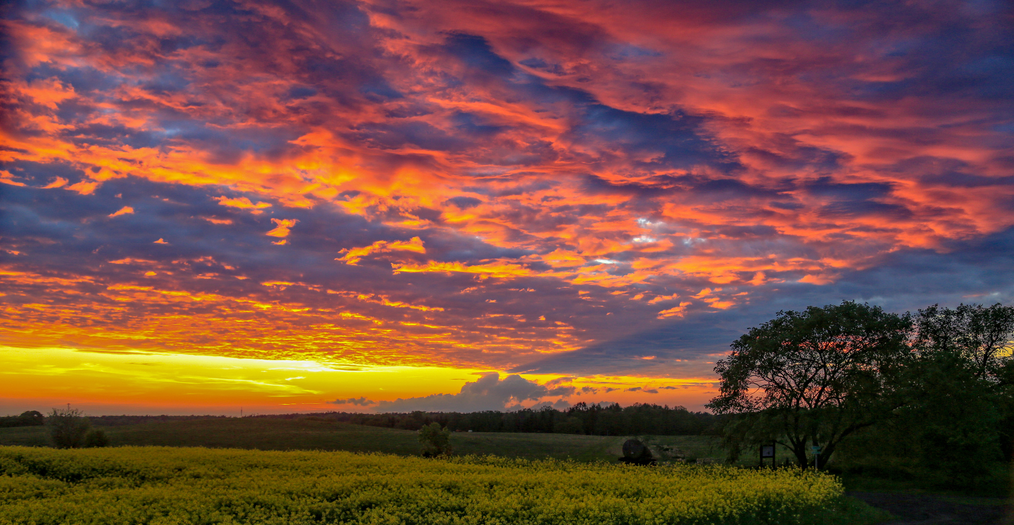 Abendrot Foto & Bild | sunset, sonnenuntergang, wolken Bilder auf fotocommunity