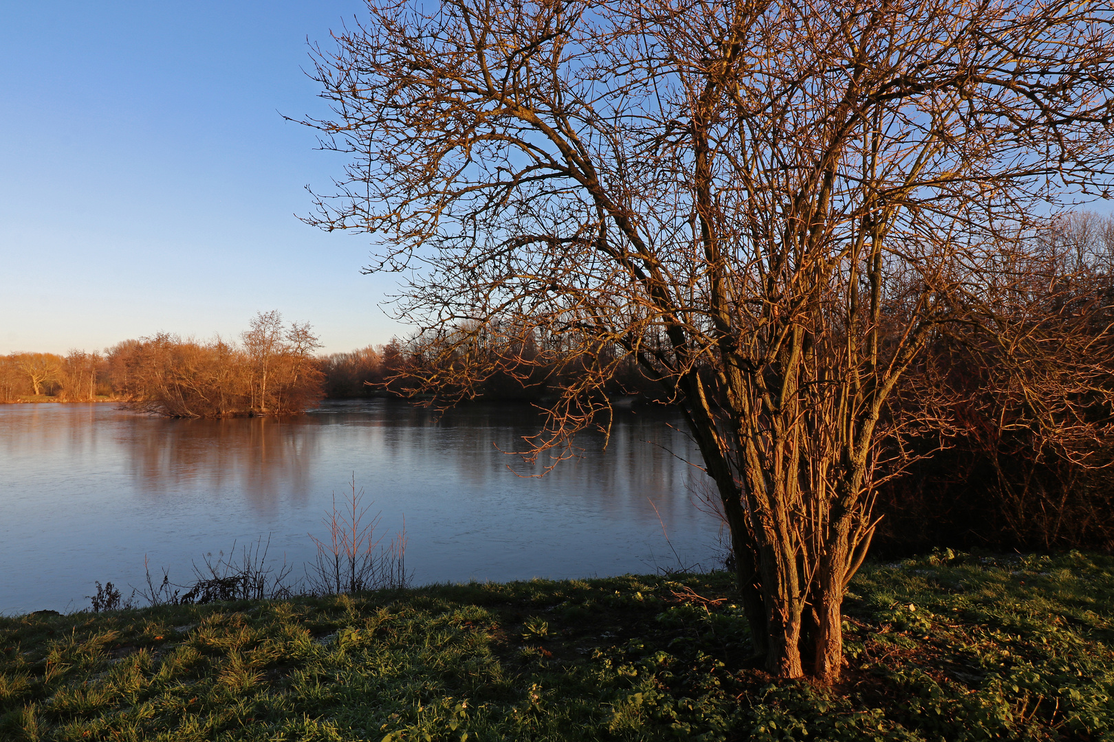 Abends am Teichufer Foto & Bild | landschaften, wasser, januar Bilder ...