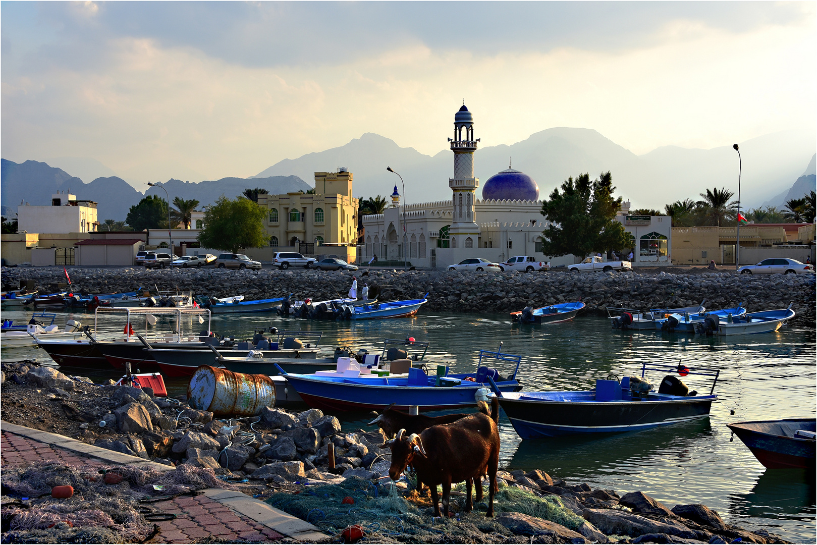 Abendstimmung am Hafen von Khasab Foto & Bild | asia, middle east, oman ...