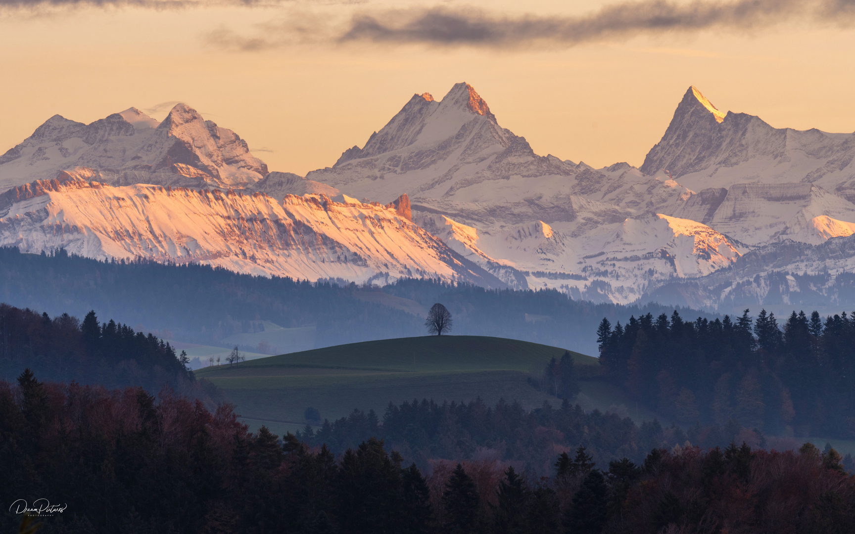 Abendstimmung im Emmental Foto & Bild | pflanzen, pilze & flechten ...