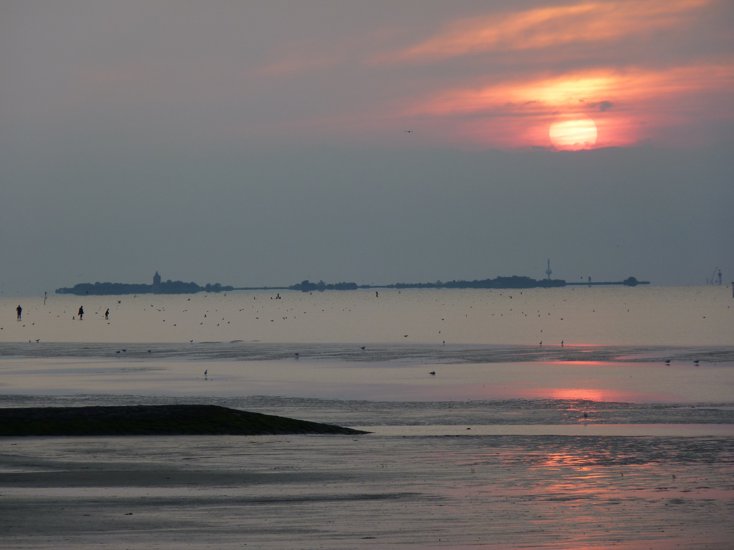 Abendstimmung - Insel Neuwerk bei Cuxhaven Foto & Bild ...