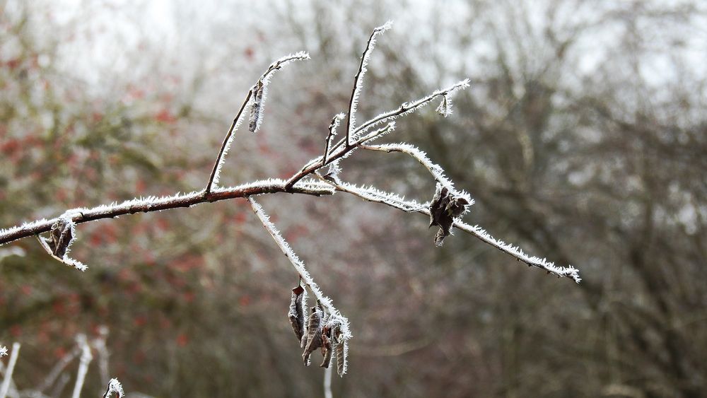 aber Kalt Foto & Bild | jahreszeiten, winter, schnee Bilder auf ...