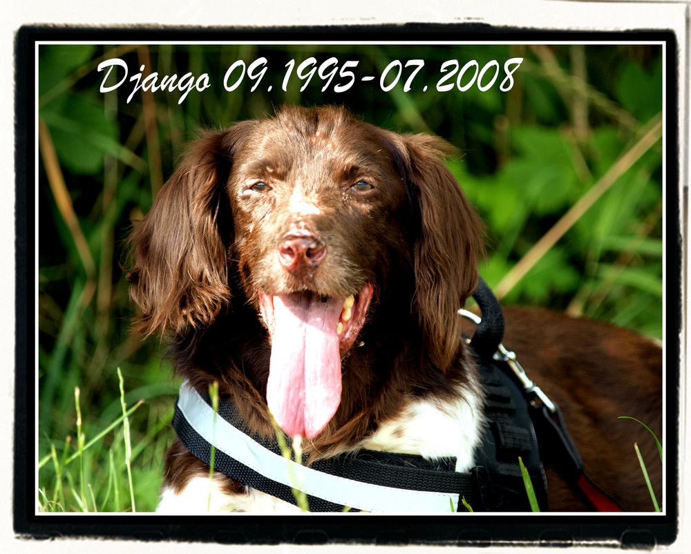 Abschied Foto & Bild | trauer, trauer - ein gefühl in bildern, portrait ...