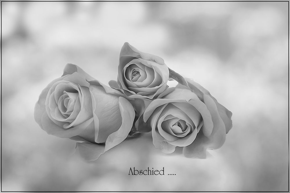 ABSCHIED Foto & Bild | fotos, spezial, trauer Bilder auf fotocommunity