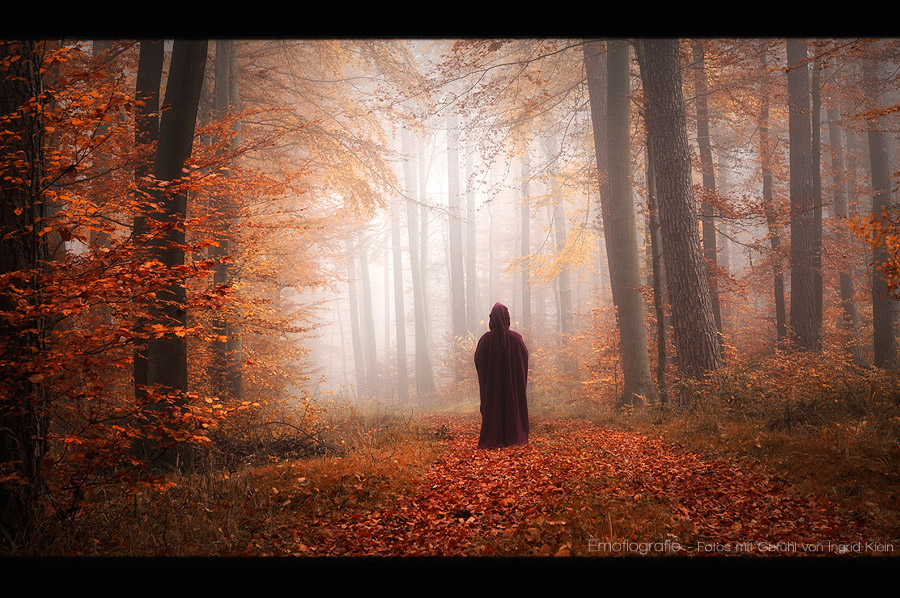 Abschied Foto & Bild | emotionen, melancholie, einkehr Bilder auf ...