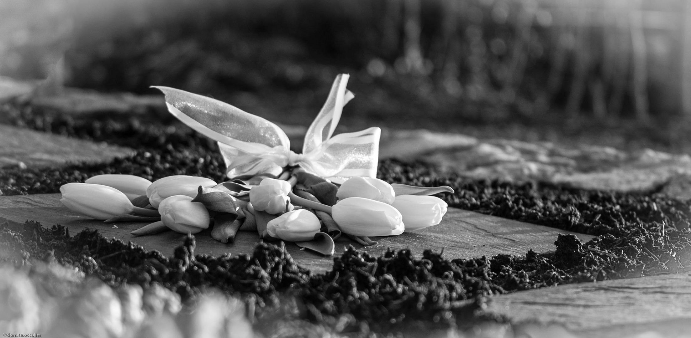 Abschied Foto & Bild | trauer, trauer - ein gefühl in bildern, fest der ...