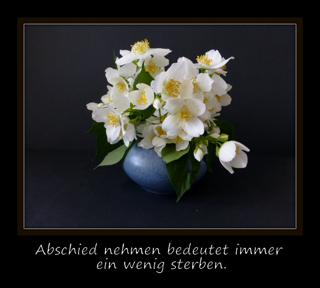 Abschied Foto & Bild | karten und kalender, kreativ, spezial Bilder auf ...