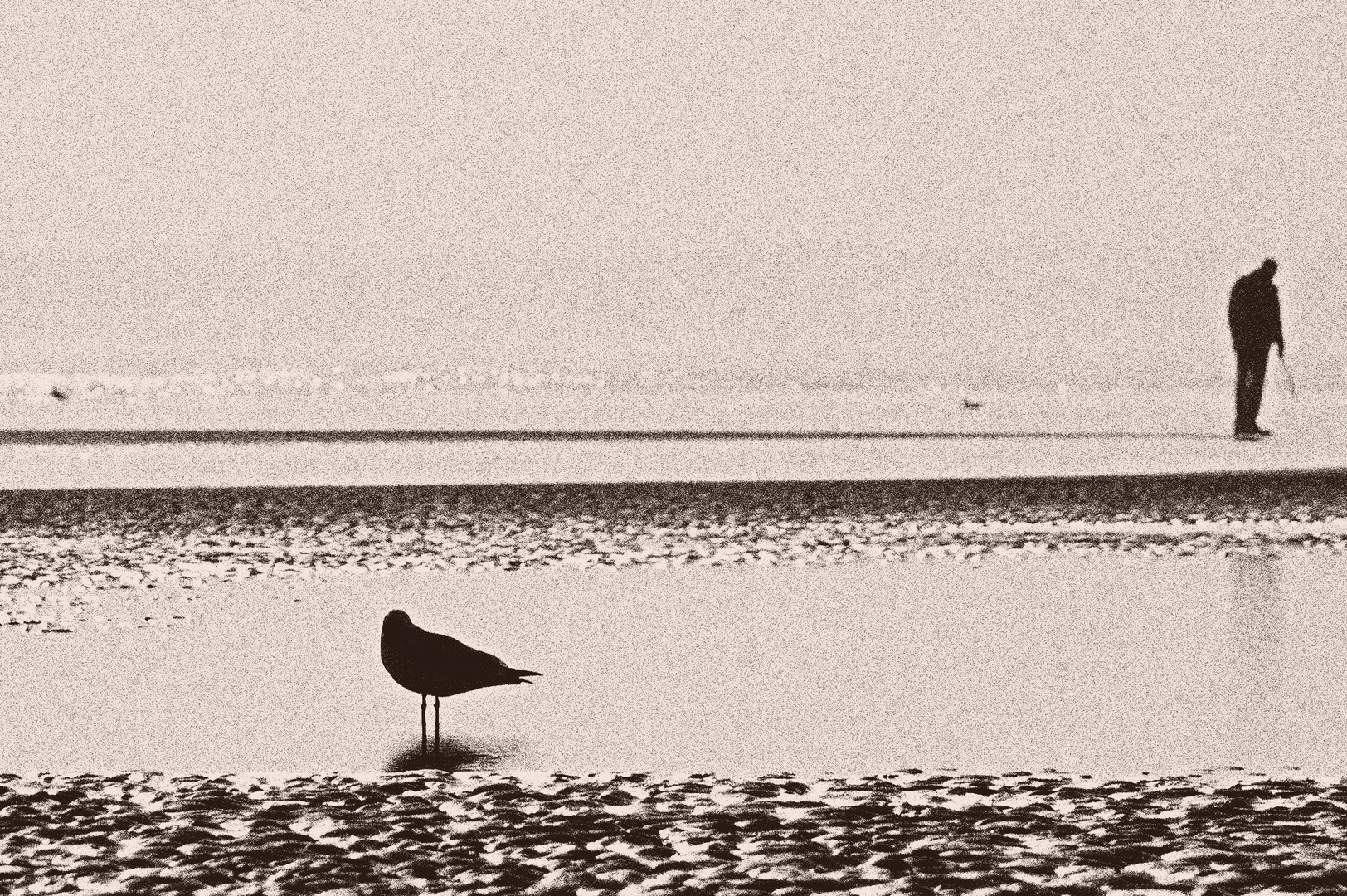 abschied nehmen Foto & Bild | trauer, emotionen, menschen Bilder auf ...