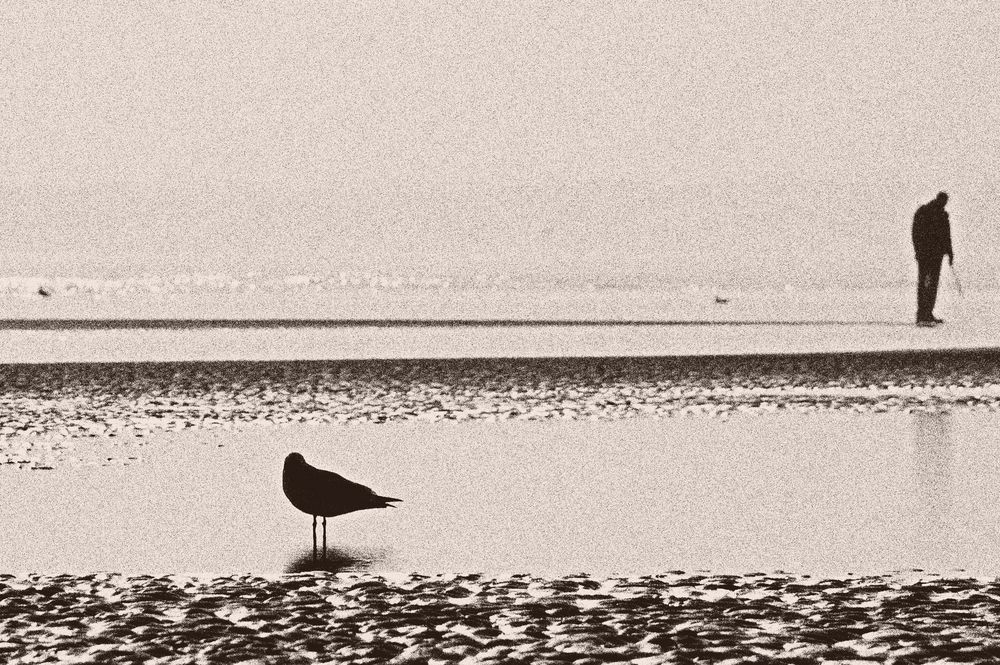 abschied nehmen Foto & Bild | trauer, emotionen, menschen Bilder auf ...