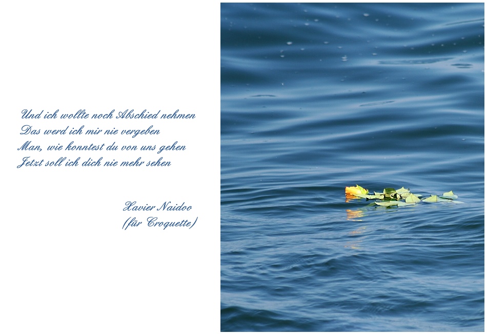 Abschied nehmen Foto & Bild | trauer, trauer - ein gefühl in bildern ...