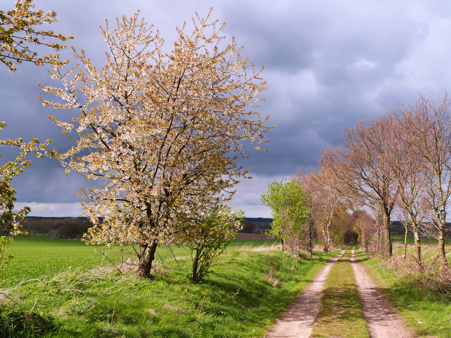 Abschied vom April Foto & Bild | world, sonne, frühling Bilder auf ...