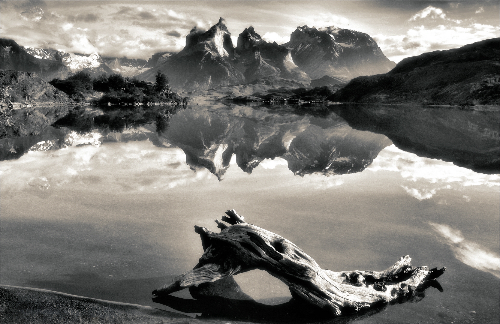 ABSOLUTE RUHE Foto & Bild | world, baum, stille Bilder auf fotocommunity